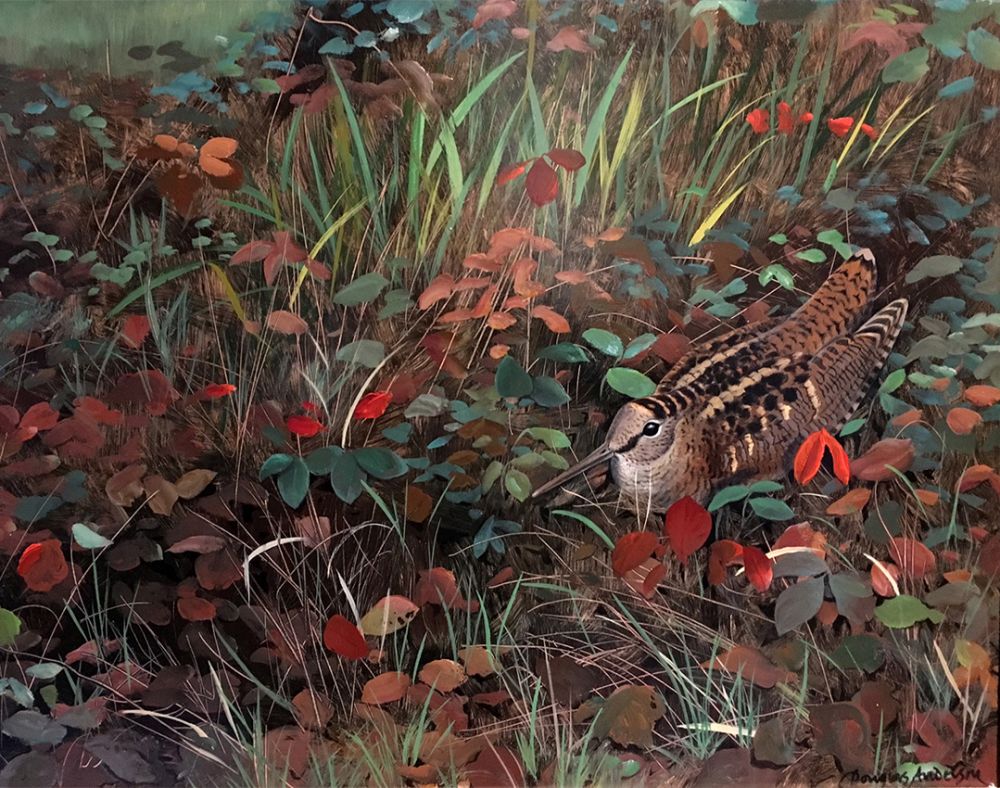 Wildlife paintings by artist Douglas Anderson RP - Born 1934